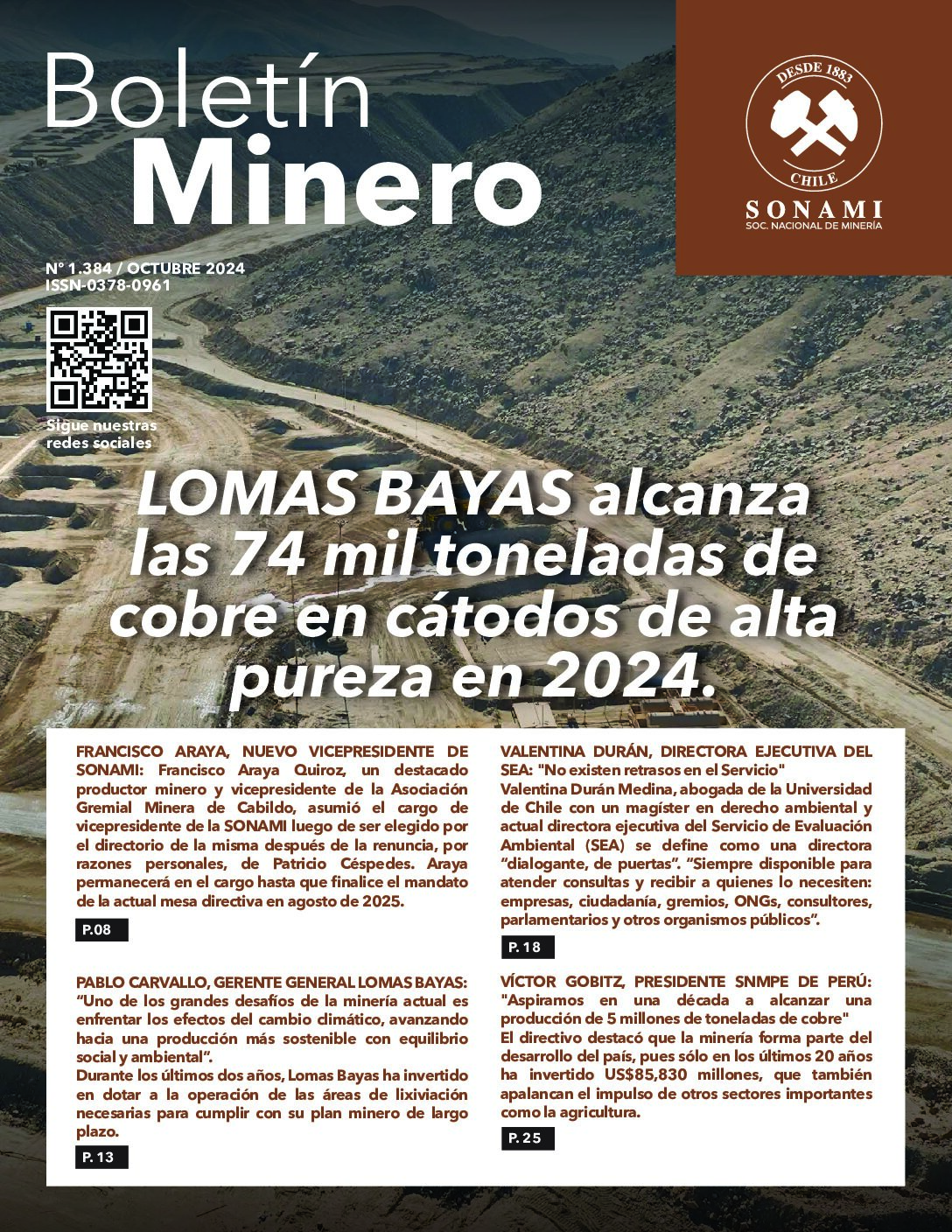 QUIÉNES SOMOS - SONAMI :: Sociedad Nacional de Minería - Chile